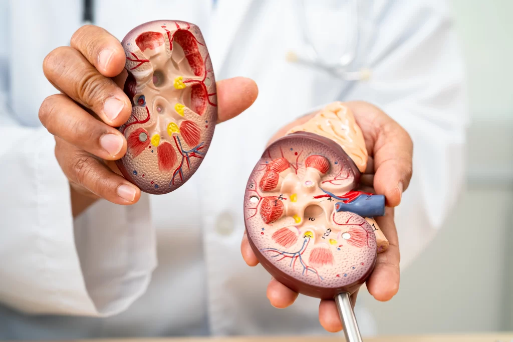 Signs of Kidney Failure: Early Warning Signs You Shouldn't Ignore ...